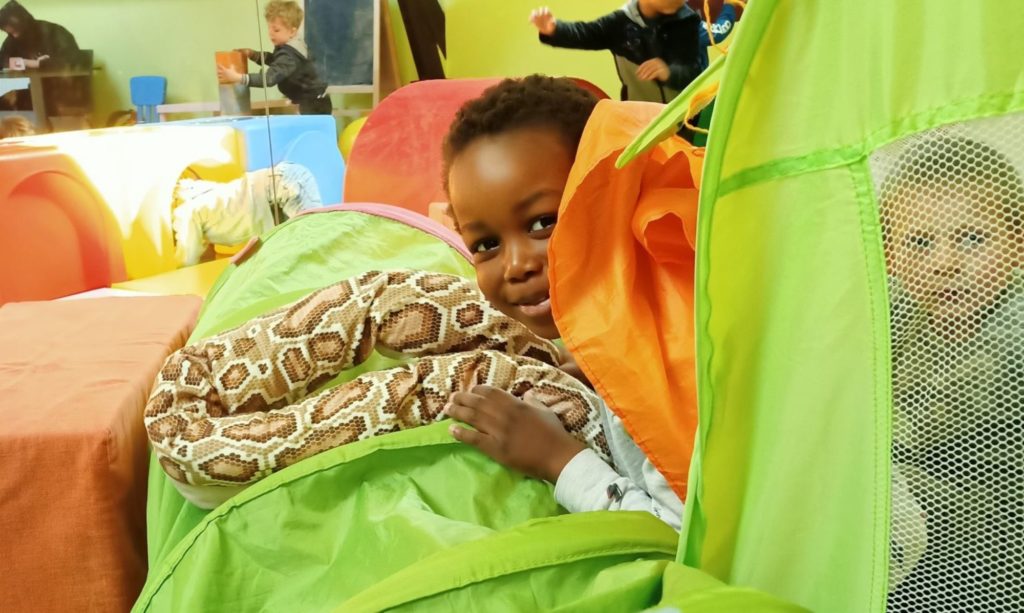 Les petits Chaperons Bougent! – Activités parascolaires et psychomotricité